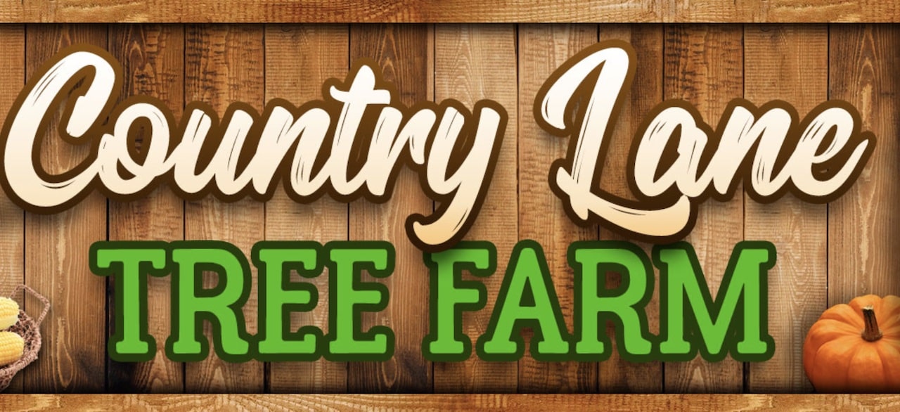 Country Lane Tree Farm - Right Size Life